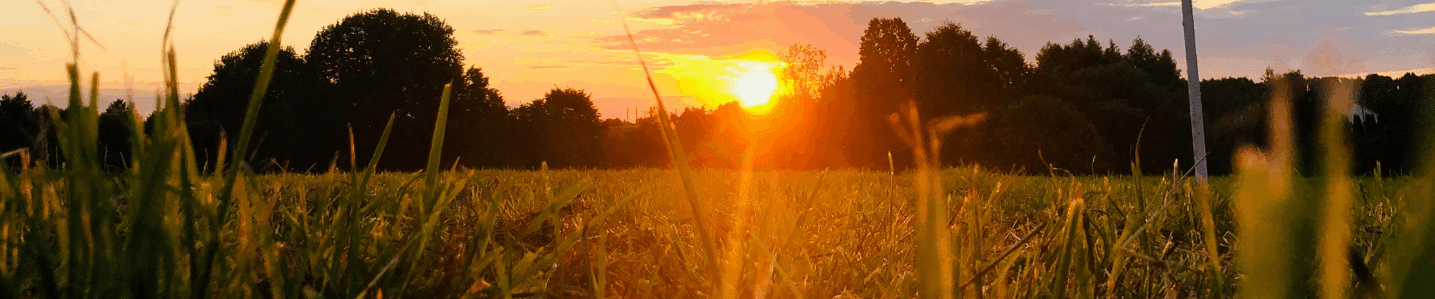 2-Day Workshop: The art of Transformation | Stifinder